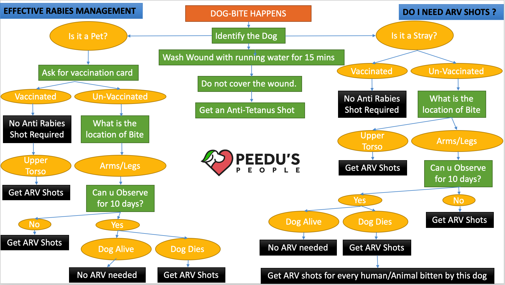 Rabies Management – Peedu's People
