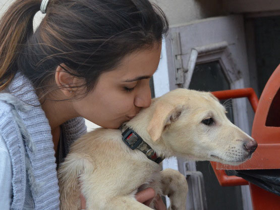 About Us – Peedu's People